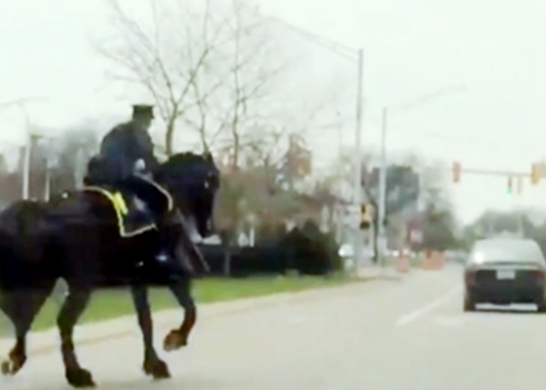 Deadline Detroit | Whoa Now: Watch This Galloping Cop Pull Over a ...
