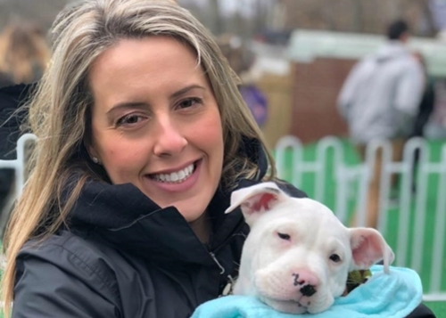 Deadline Detroit | 'What Is Happening to the Animals Isn't Right ...