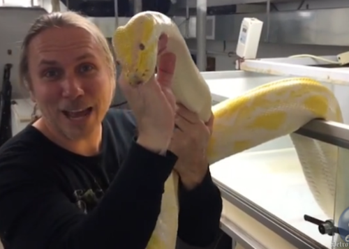 Deadline Detroit | Video: Freep's Schaefer Chats with Warren Snake ...