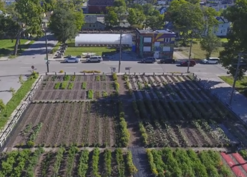 Deadline Detroit | Video: What the Michigan Urban Farm Initiative Is Up ...