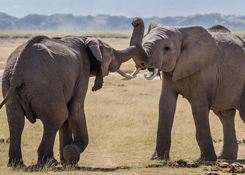 Deadline Detroit | Susan Demas: How Michigan's GOP Civil War Will ...