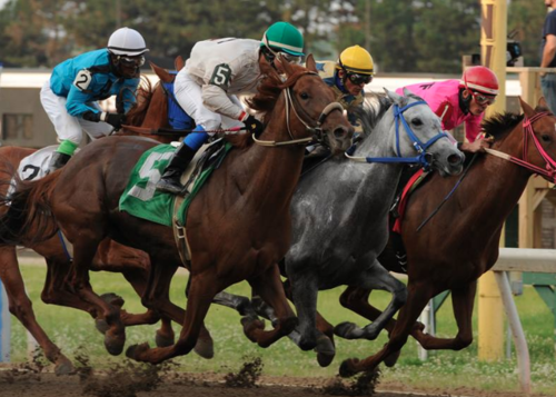Deadline Detroit | The Race Is Over: Hazel Park Raceway Closes After ...