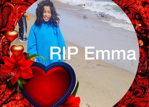 Deadline Detroit | Owner of pit bulls in fatal attack charged with ...