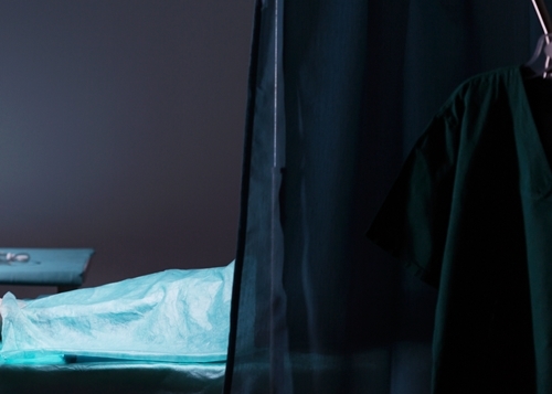 Deadline Detroit | Virus news: More Detroit-area trailer morgues | UM ...