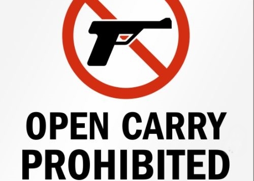 Deadline Detroit | 6-0 vote forecast today to OK open-carry gun ban for ...