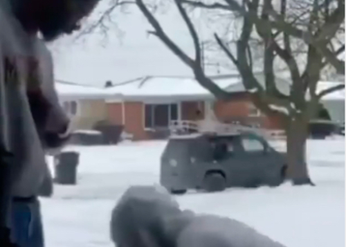 Deadline Detroit | Video: Detroit porch pirate repents, retreats from ...