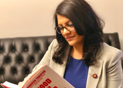 Deadline Detroit | Michigan Democratic Lawmakers Won't Budge on Border ...