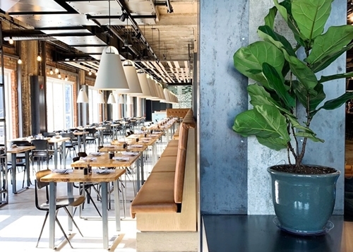 Deadline Detroit | Midtown Detroit Is Cooking: Smith & Co. and Savant ...