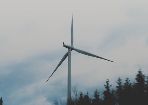 Deadline Detroit | Zoo pledges to use all renewable power by 2021